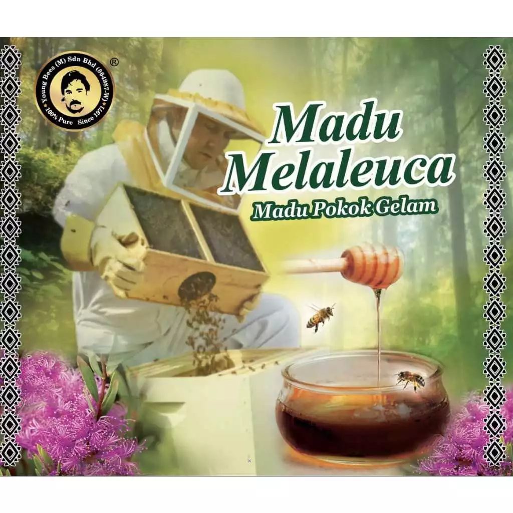 Madu Melaleuca Young Bees 1 kg Madu Pokok Gelam | Shopee Malaysia