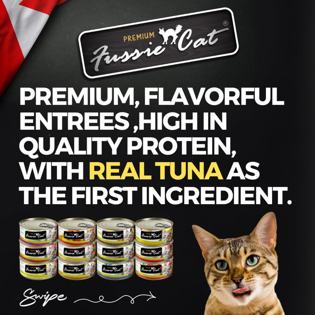 Wholesale Borong GUN PET Fussie Cat Premium Black label 80g Complete ...