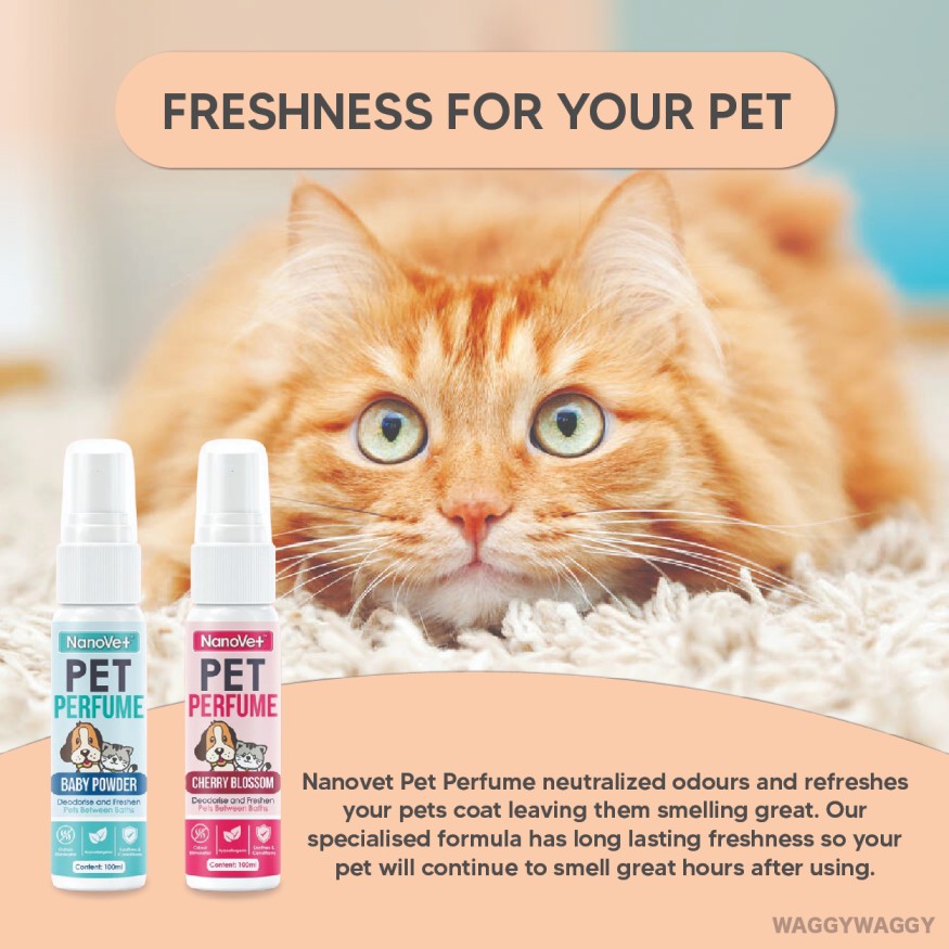 WaggyWaggy Nanovet Pet Perfume Spray 100ML Cat Dog Baby Powder Cherry ...