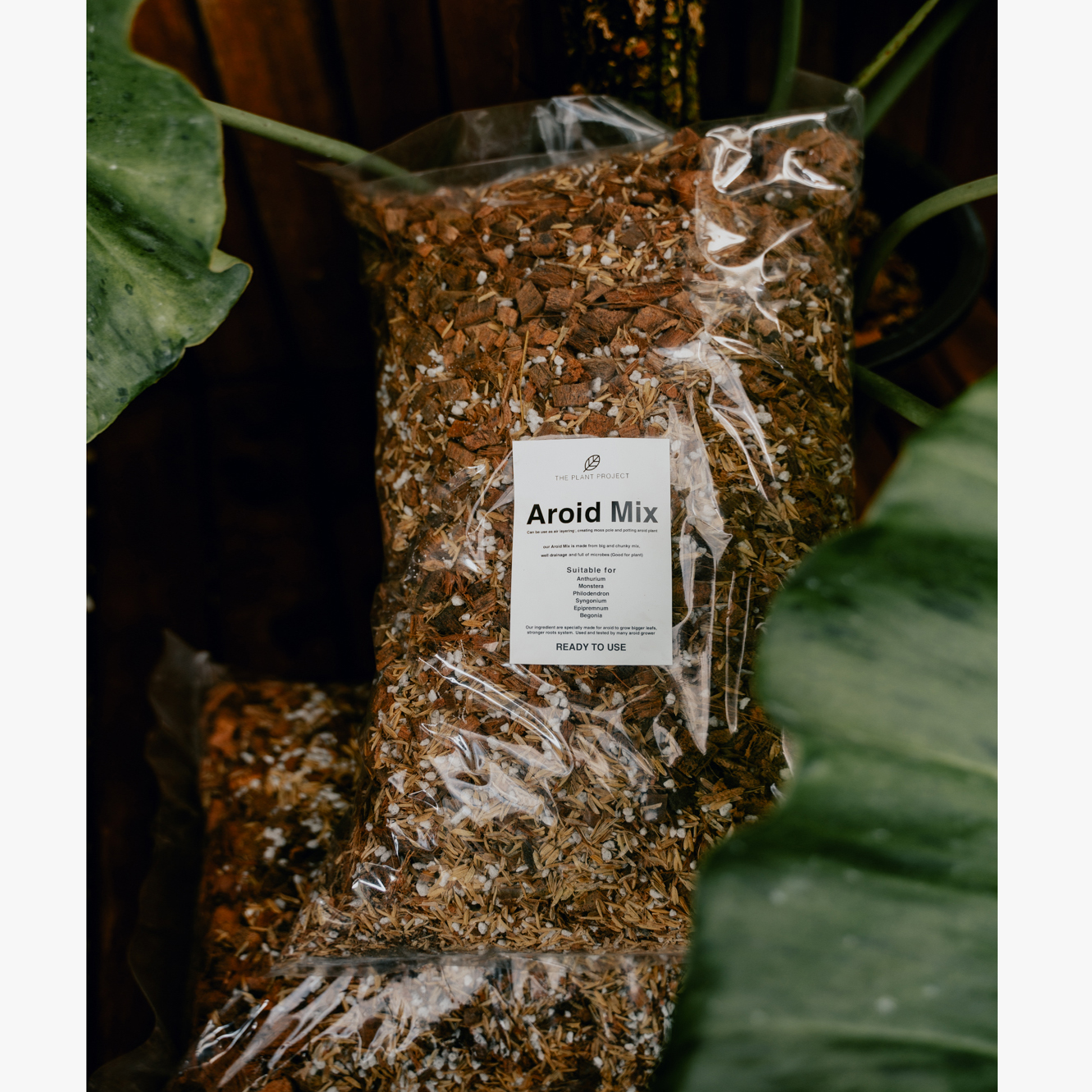 AROID MIX Special formulated Aroid Soil Mix Ready To Use Soil for ...