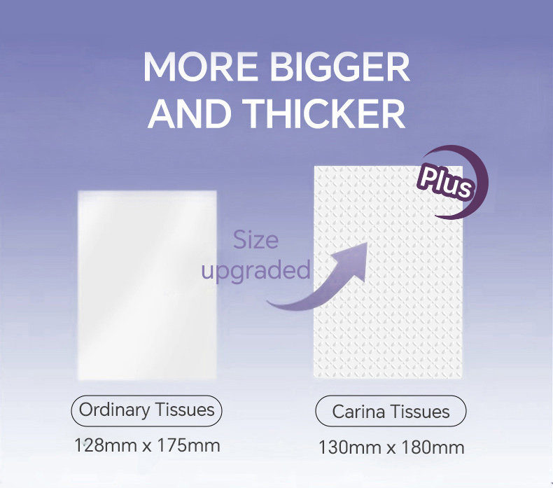 [20 Packs] Carina Wall Hanging Tissue 4-Ply 1000 sheets soft deluxe ...