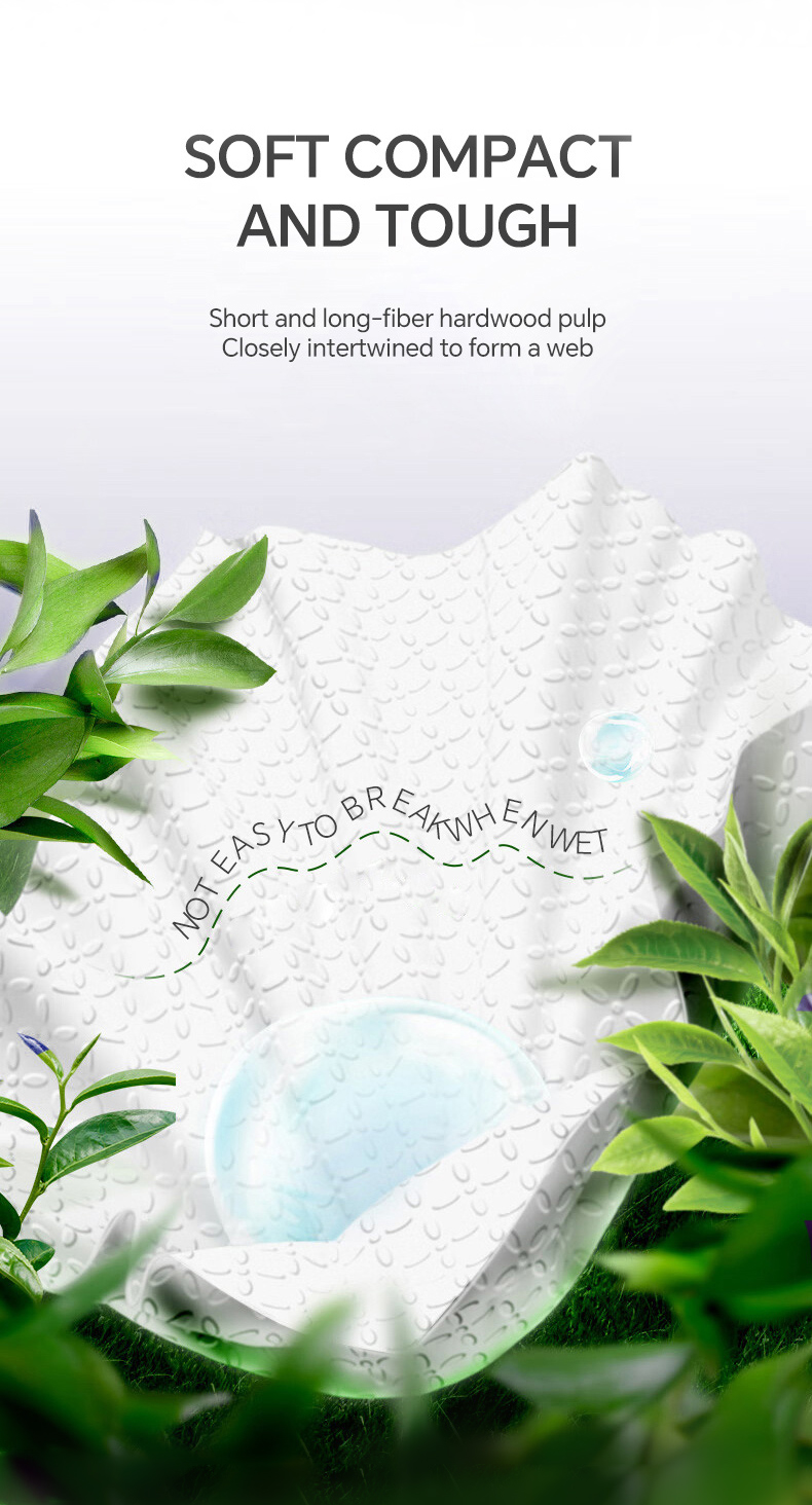 [20 Packs] Carina Wall Hanging Tissue 4-Ply 1000 sheets soft deluxe ...