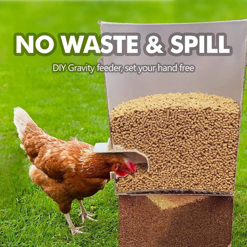 Chicken Feeder Rain Proof Poultry Automatic Feeder No Waste | Shopee ...
