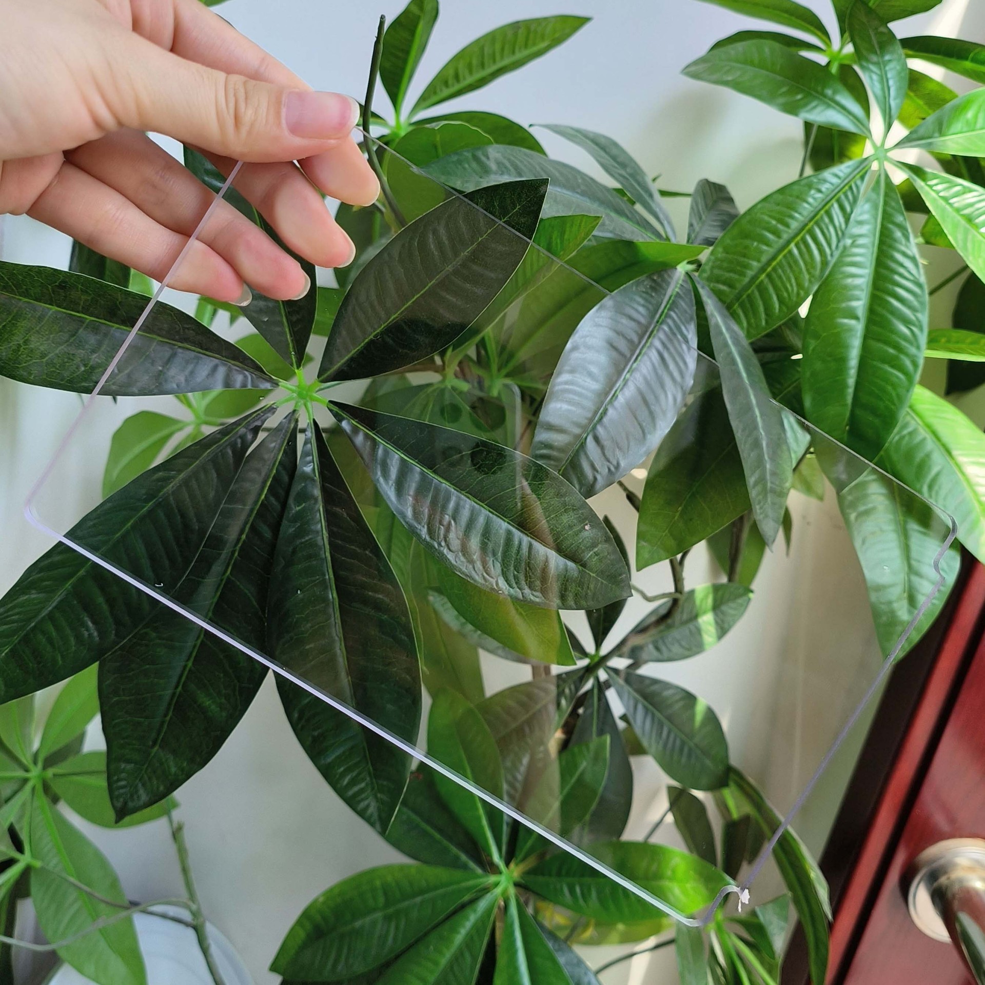 Atap Transparent/Atap Cerah Lutsinar/RATA 1mm Polycarbonate Greenhouse ...