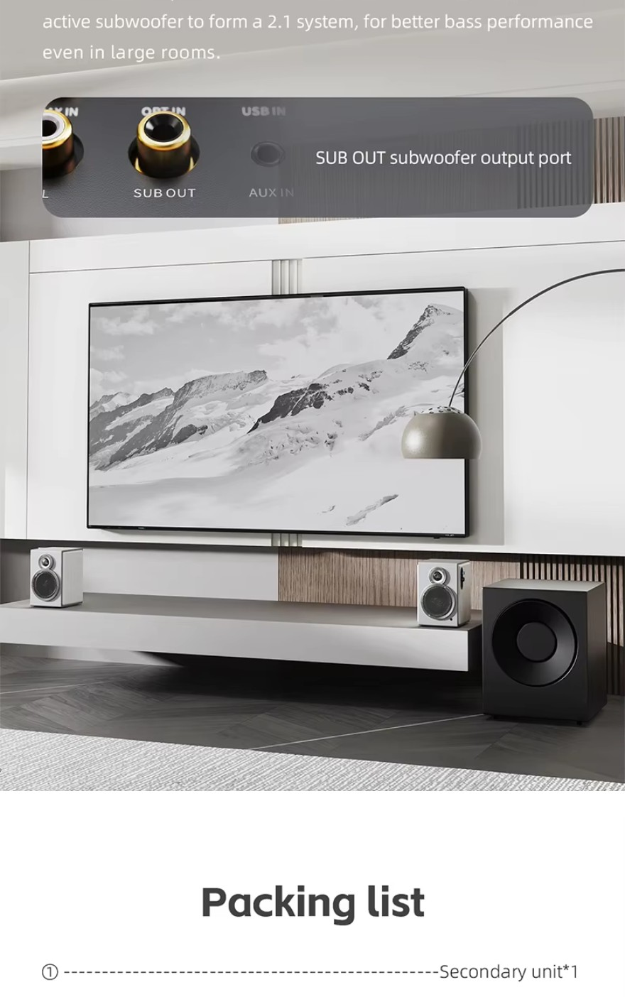 FiiO SA1, High-Fidelity Desktop Active Speaker: with 31 high-precision ...