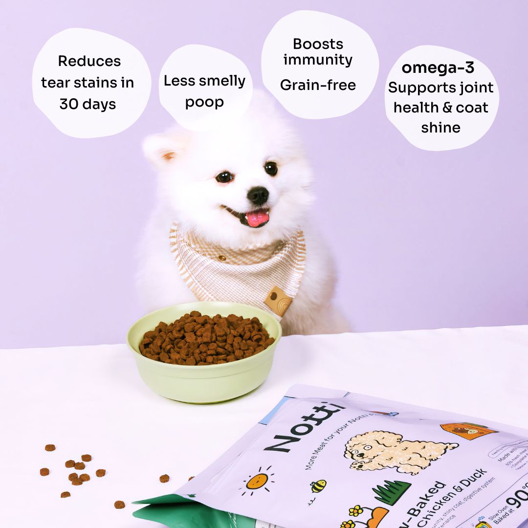 [SEASONAL] 12kg Fresh Chicken & Duck Dog Food Makanan Anjing Bundle ...