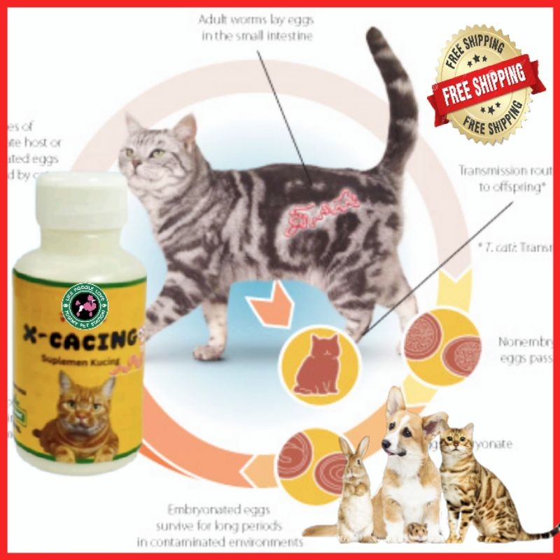 Cirit-Birit Kucing / Ubat Muntah Kucing / Ubat Sakit Perut Kucing 30mL ...