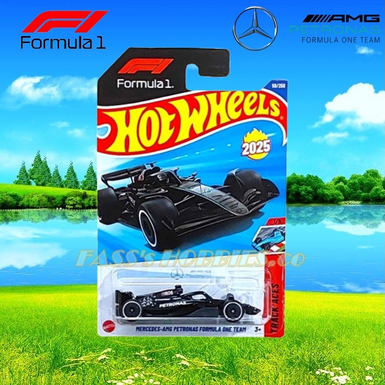 HOT WHEELS™ F1 MERCEDES AMG PETRONAS FORMULA ONE TEAM | Shopee Malaysia