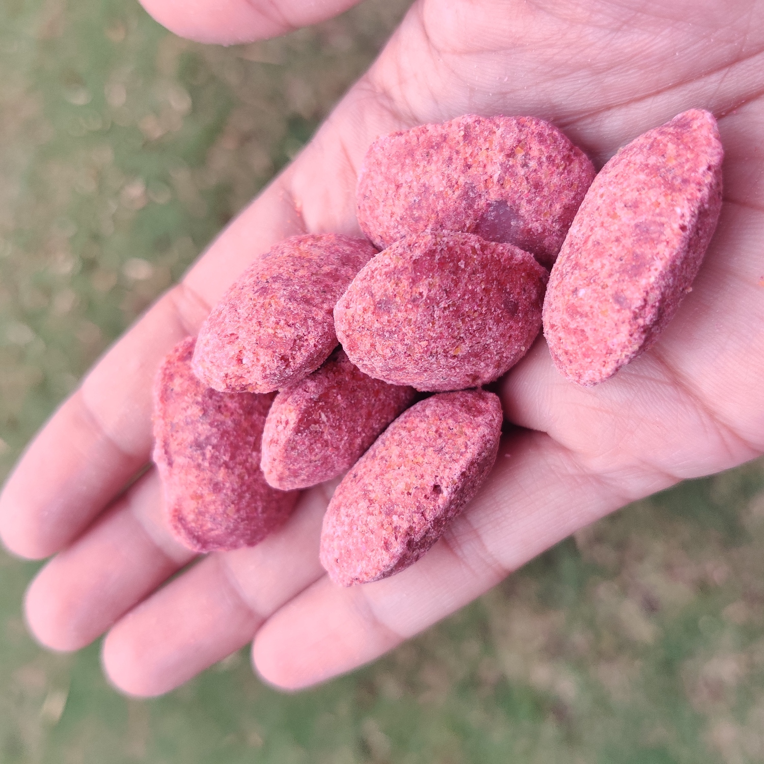 FGV Rat Poison Butik G2 50g racun tikus rumah kebun dapur kedai makan ...