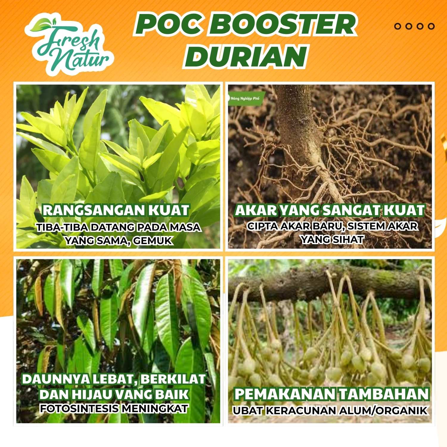 Poc Booster Durian - Super subur | Meningkatkan Kesuburan Pertumbuhan ...