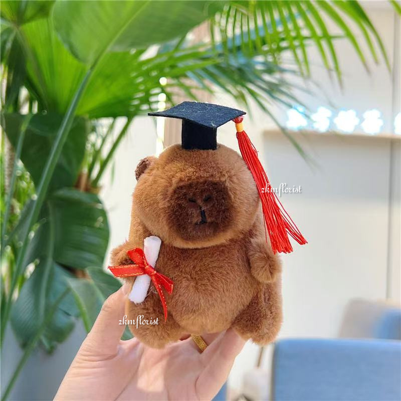 11CM CAPYBARA GRADUATION BEAR Plush Toy Cute Capibara Plushie Toy Anak ...