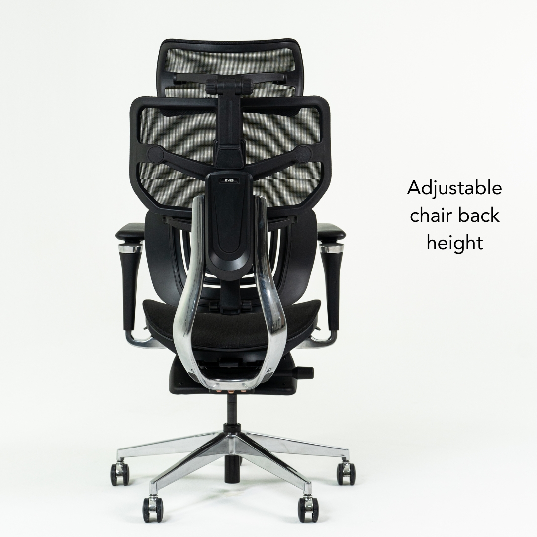 EVIS Ottimo Ergonomic Office Chair Adjustable Lumbar | Shopee Malaysia
