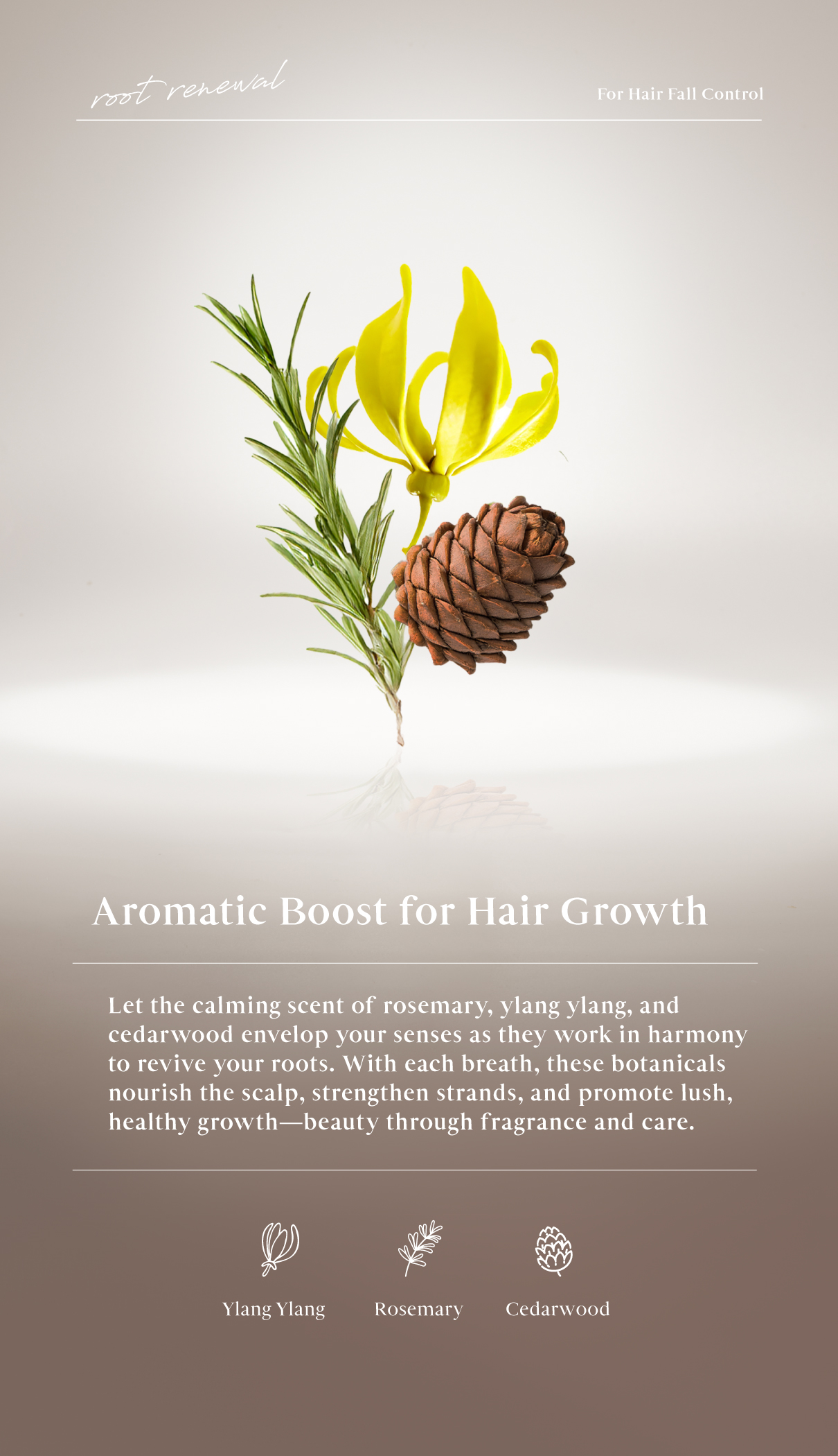 Plant Origins Root Renewal Hair Shampoo (500ml) | Shopee Malaysia