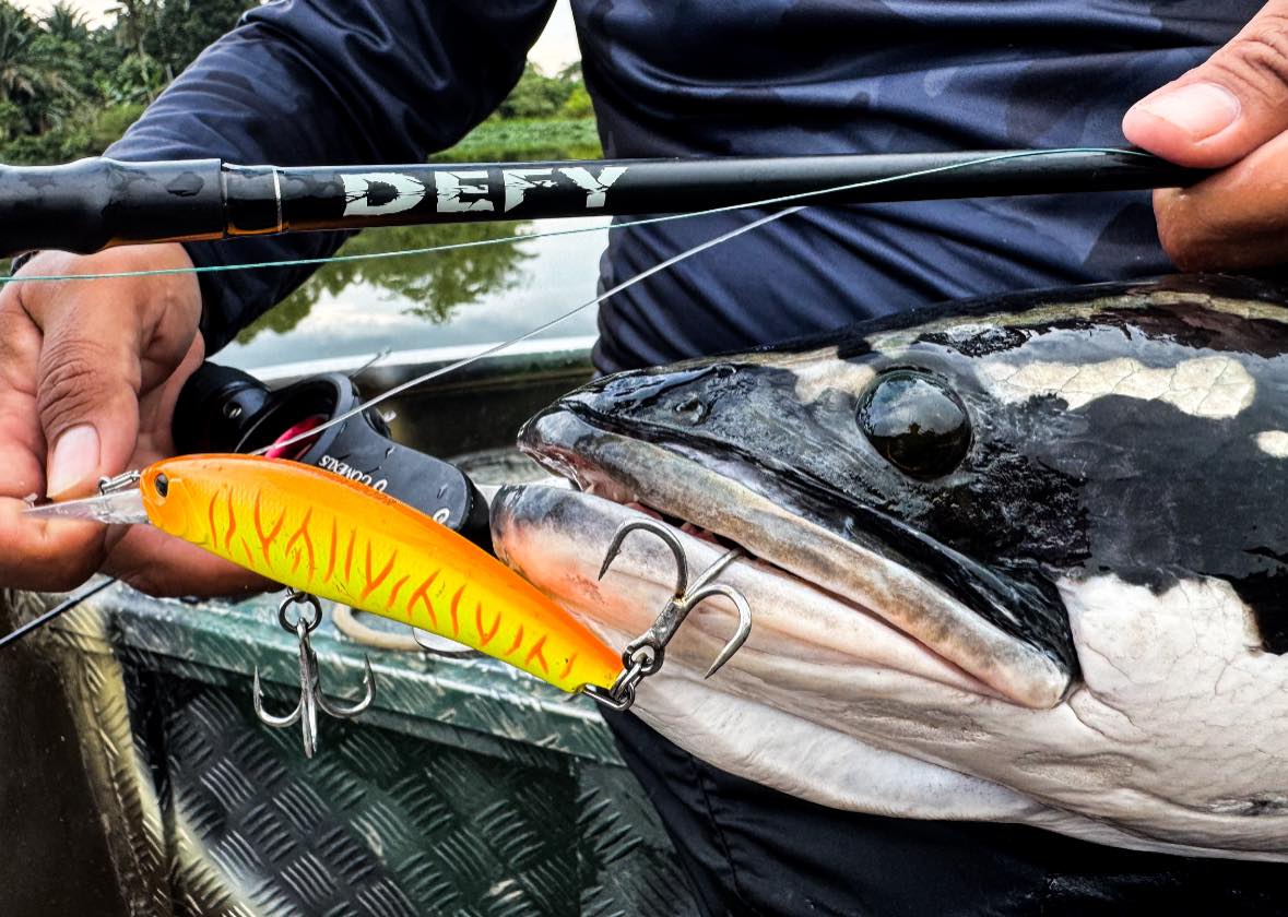 ROD RENTAKA DEFY 2024 | Shopee Malaysia