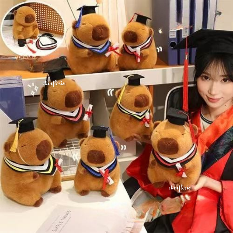 22CM CAPYBARA GRADUATION BEAR Plush Toy Cute Capibara Plushie Toy Anak ...