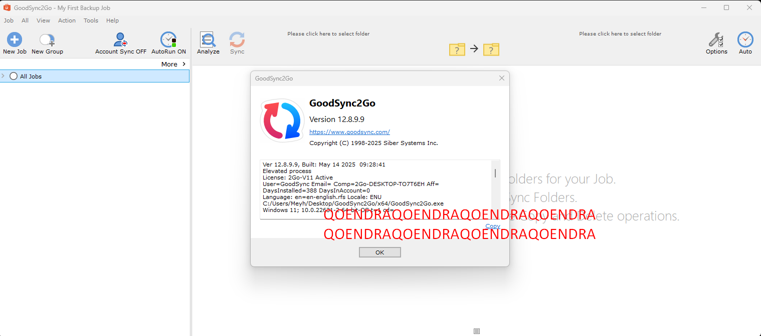 GoodSync Enterprise 12 | v12.8.9 File Sync & Backup Between HardDisk or Cloud🔥 | Full.Activated ...