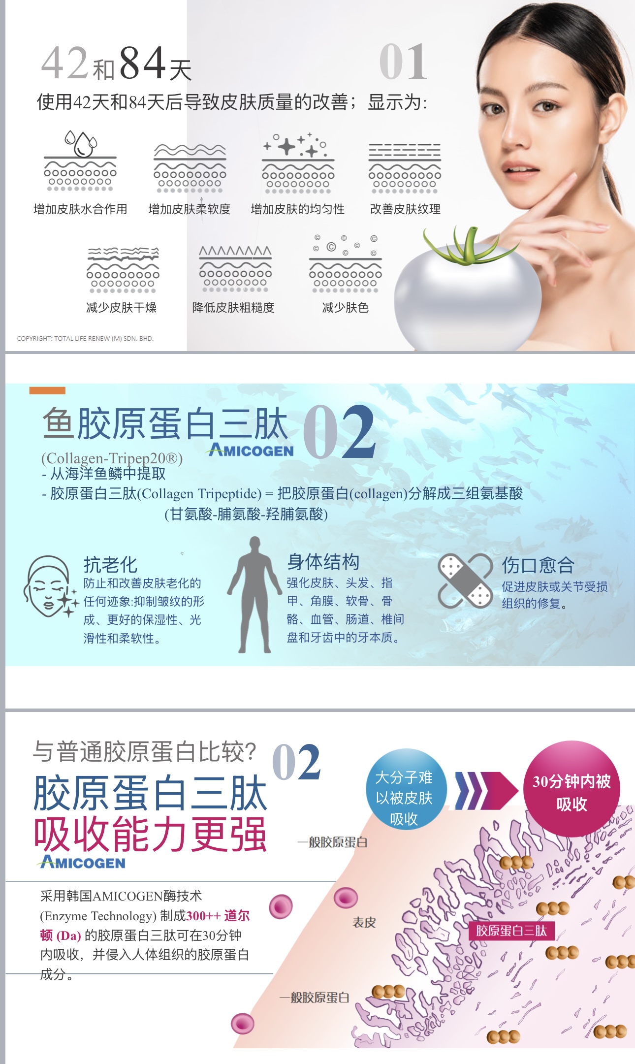 Borneo Fairy Diamond Tomato Botanical Beverage White Tomato Putih ...