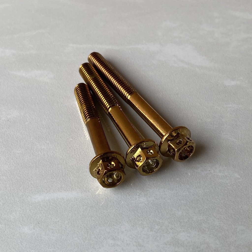 ENGINE COVER SCREW GOLD SKRU ENJIN GOLD M6 40MM 50MM 55MM | Shopee Malaysia