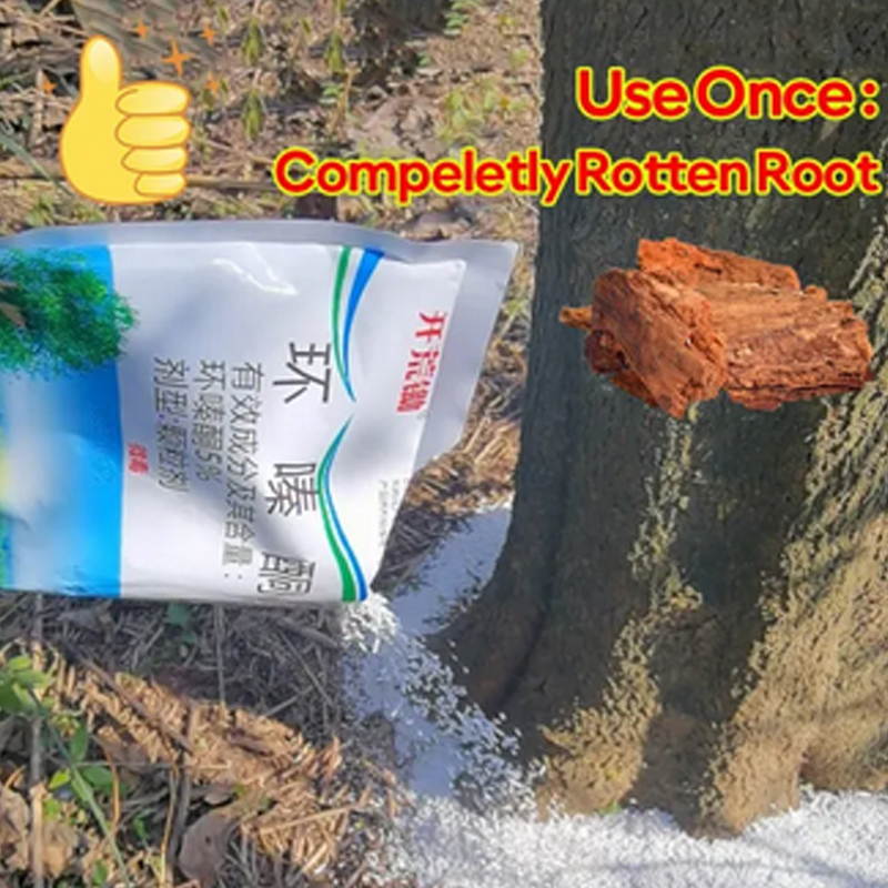 Tree root rots over night Tree Herbicide to kill tree cycloazinone ...