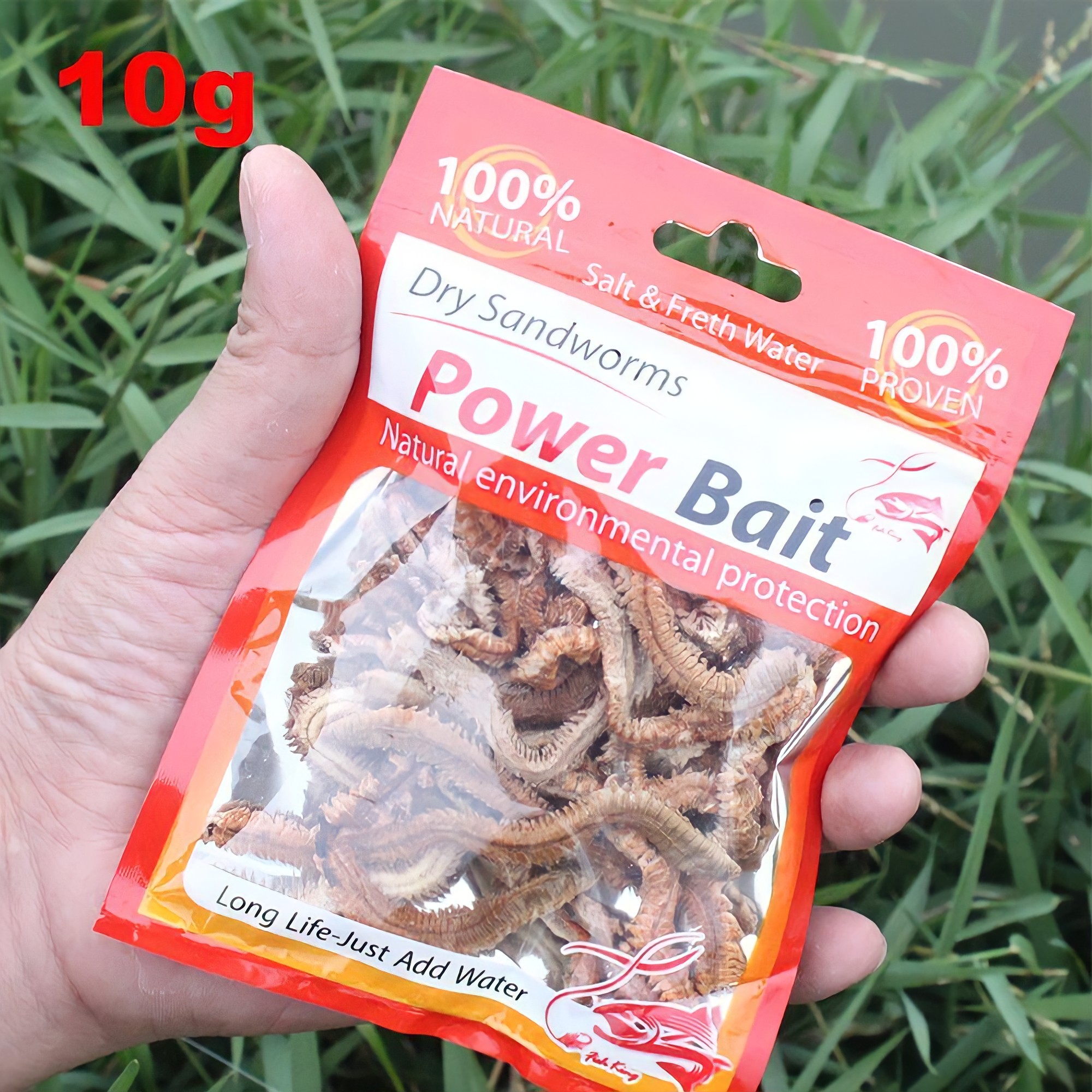 10g Umpan Ruat/Umpun Kering Pancing Udang dan Ikan Dry bait Sandworms ...