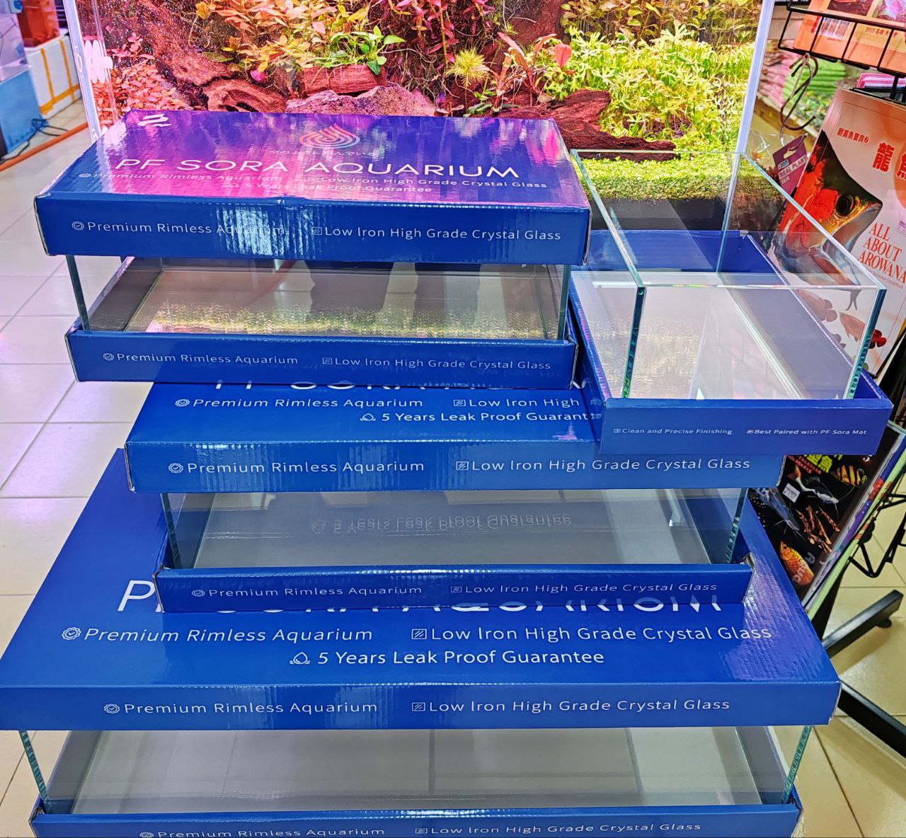 Crystal Clear Tank 超白玻璃 Aquarium – 30cm / 35cm / 40cm / 60cm | CC Tank ...