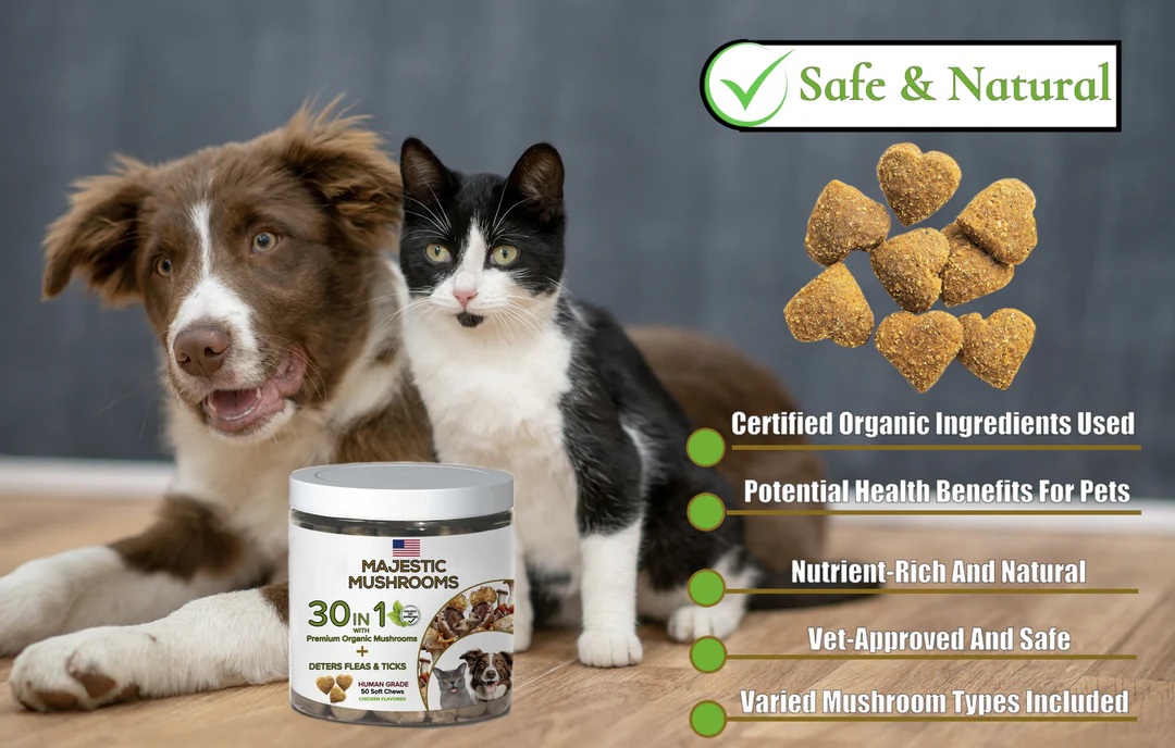 Majestic Mushroom 30-in-1 Calming Chew for Pets – Natural Mushroom ...