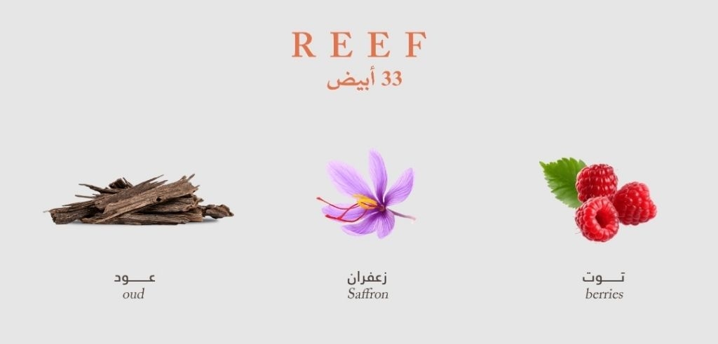 Decant REEF 33 White by REEF Perfume Authentic 💯 Berries and oud ...