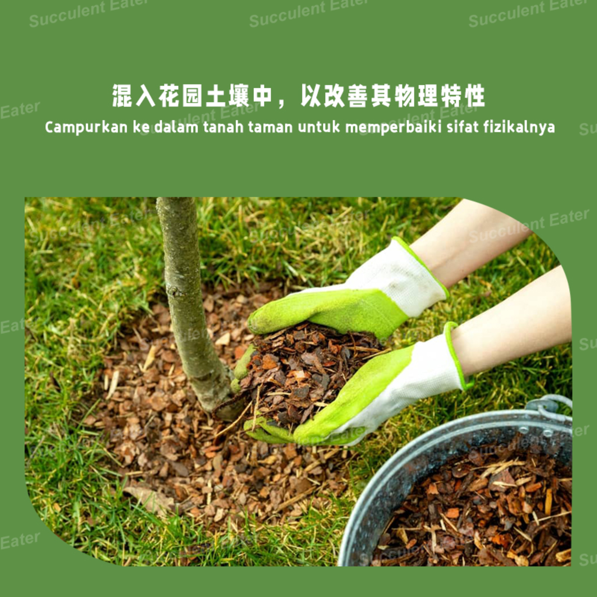 Pine Bark 1 Liter Kulit Kayu Pain Garden Plant Wood Orchid Turtle ...