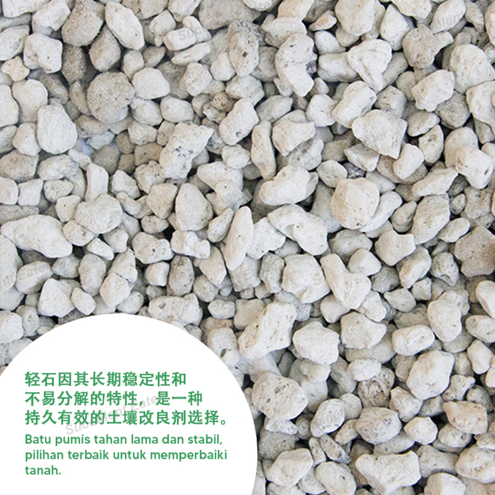 (1 Liter) Pumice Stone Batu Pumis Cactus Succulent Soil Filter Media ...