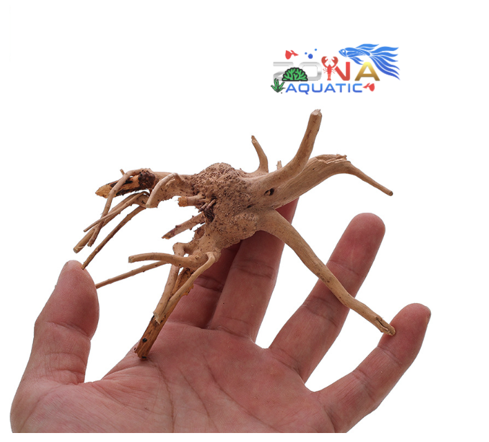 READY STOCK | AQUARIUM DRIFTWOOD | RHODODENDRON ROOT | FOR AQUASCAPE ...
