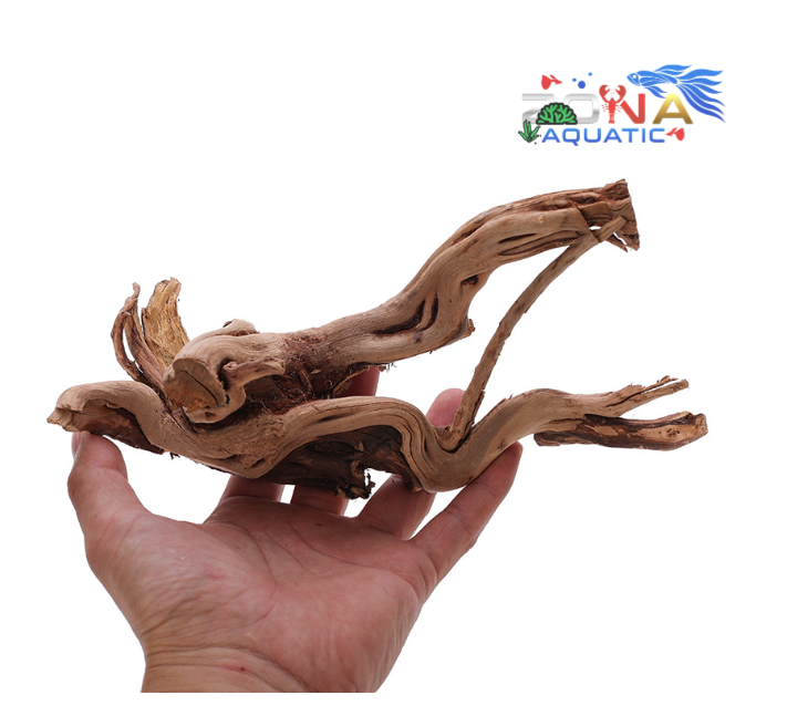 READY STOCK | AQUARIUM DRIFTWOOD | RHODODENDRON ROOT | FOR AQUASCAPE ...