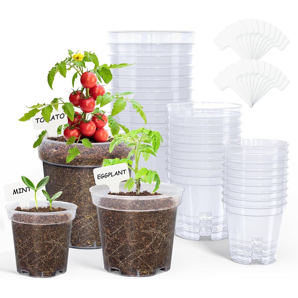 thick transparent plastic seedling pots, seedling trays, planting pots ...