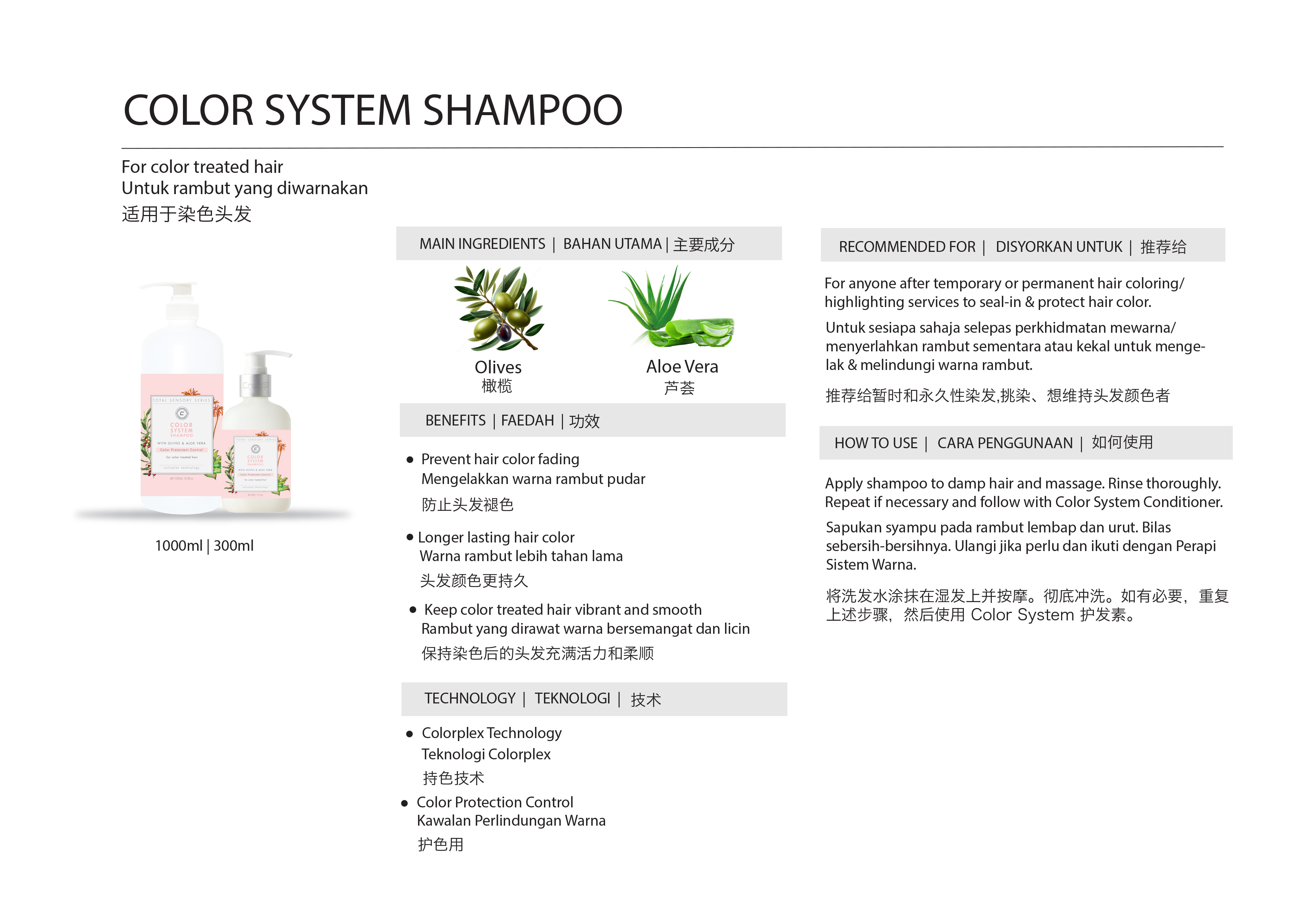 Craft Color System Hair Shampoo 300ml, Conditioner 300ml & Smoothy ...