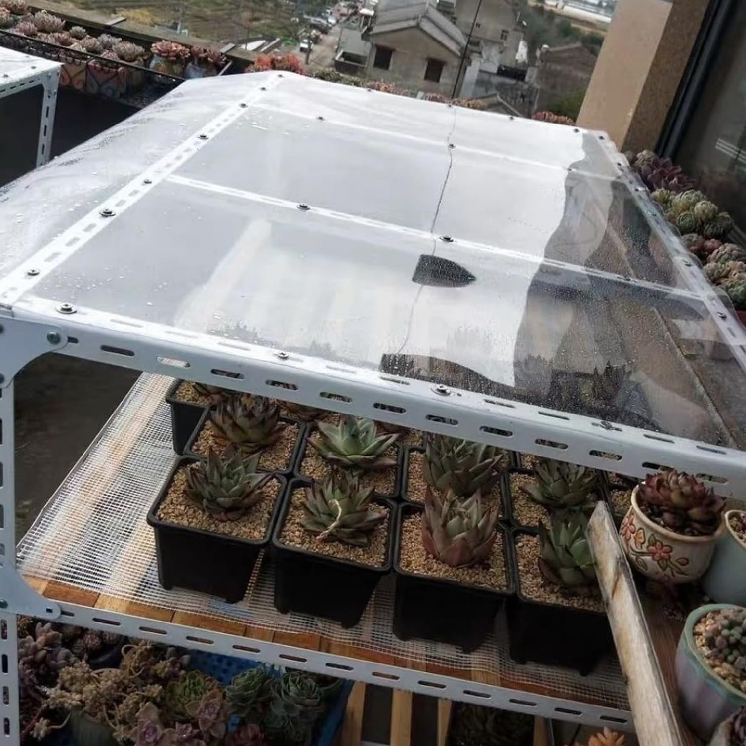 Polycarbonate Sheet Atap Transparent Plastik Transparent Acrylic Sheet ...