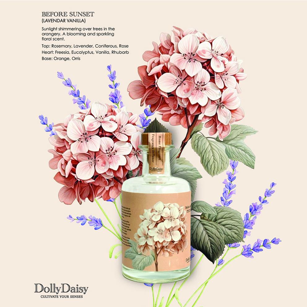 Dolly Daisy Reed Diffuser 200ml with 6 pcs reeds| Air Freshener | Home ...