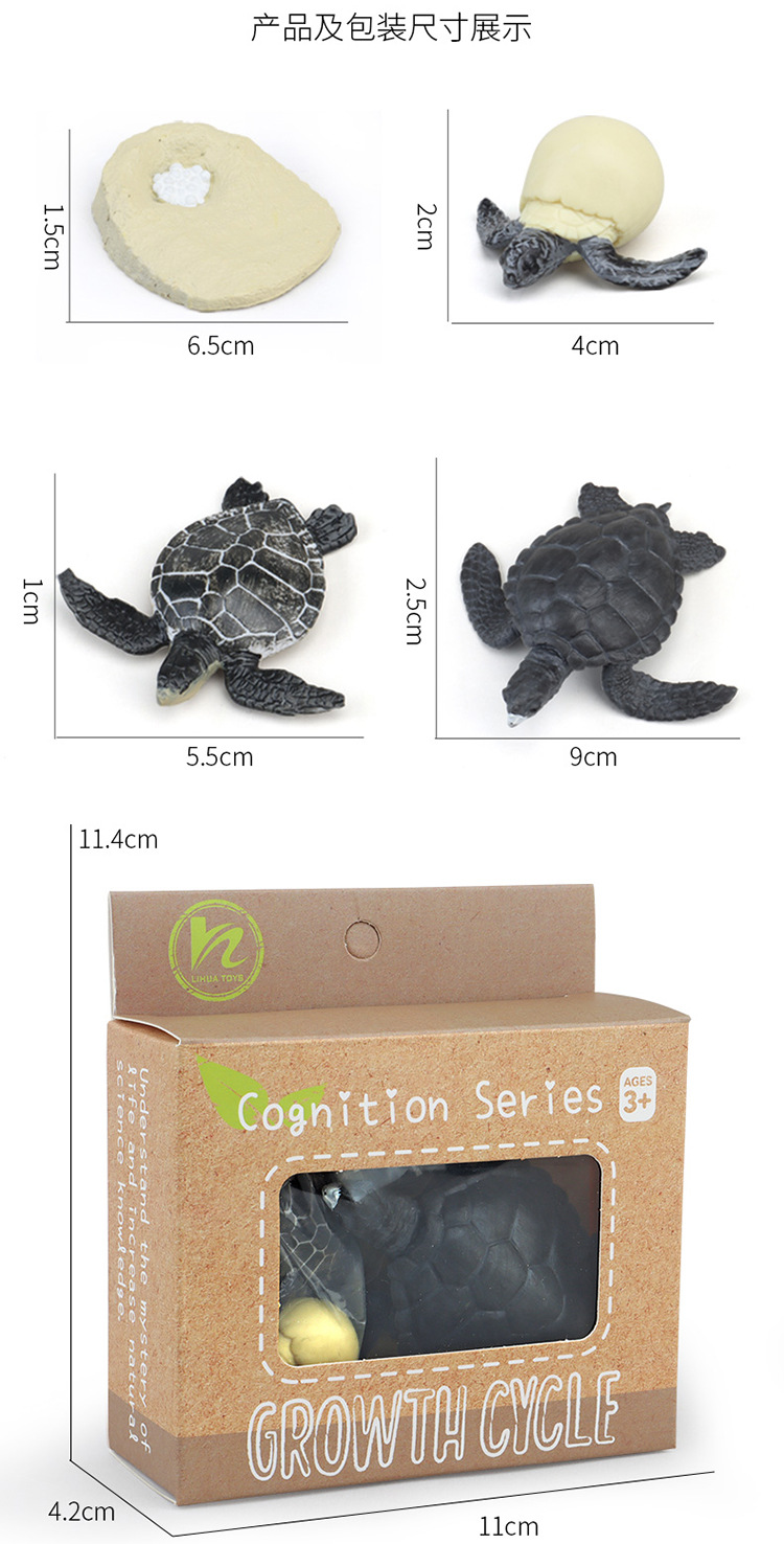 Growth Cycle Plastic Model Life Cycle Frog Butterfly Animal Toy玩具模型青蛙海龟 ...