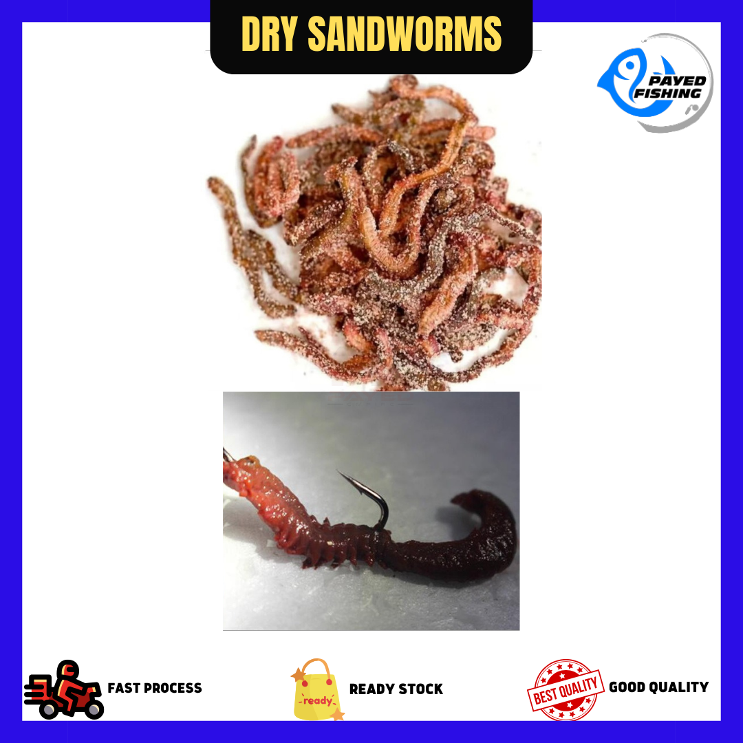 UMPUN-UMPUN Separa Kering, Umpan Killer, Tahan Lebih Lama, Kegemaran ...