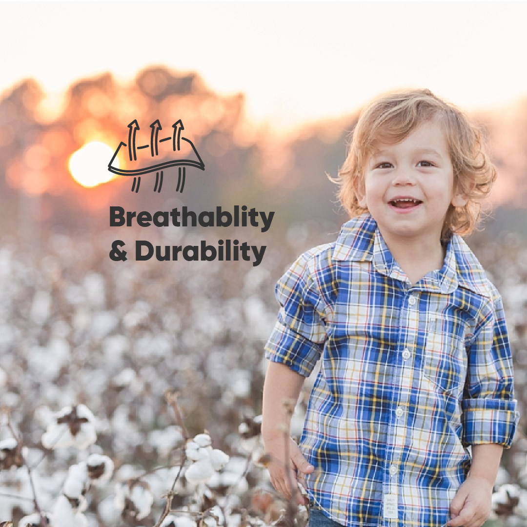 Novelle Pure Cotton Fitted Bedsheet Set (without Comforter / Quilt ...