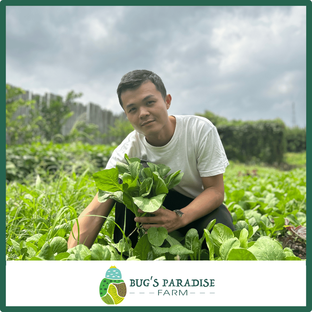 Bugs Paradise Farm - Sawi Hong Kong Seed 3g | Shopee Malaysia