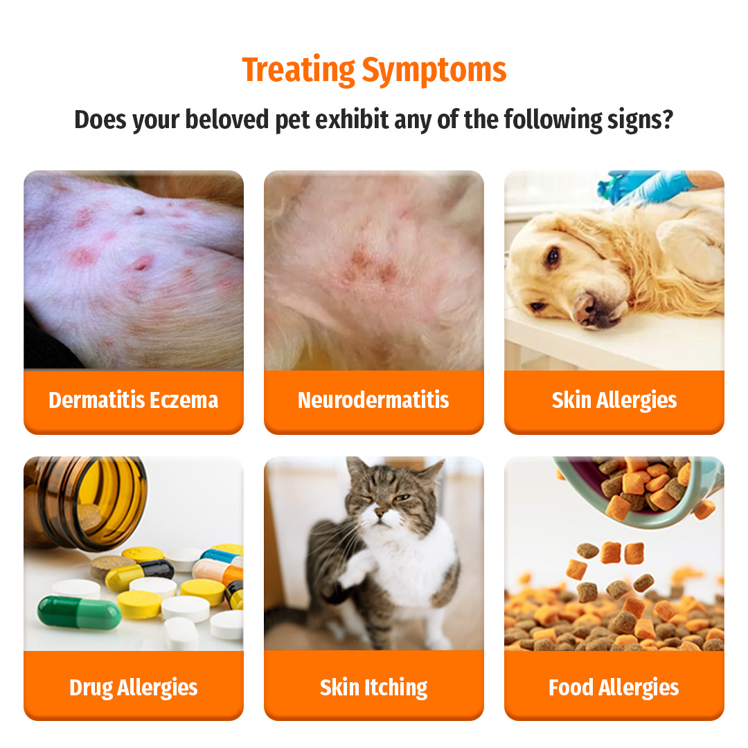Cassiel Pet Anti Itching Medicine Ubat Gatal Kucing Skin Allergy Eczema ...