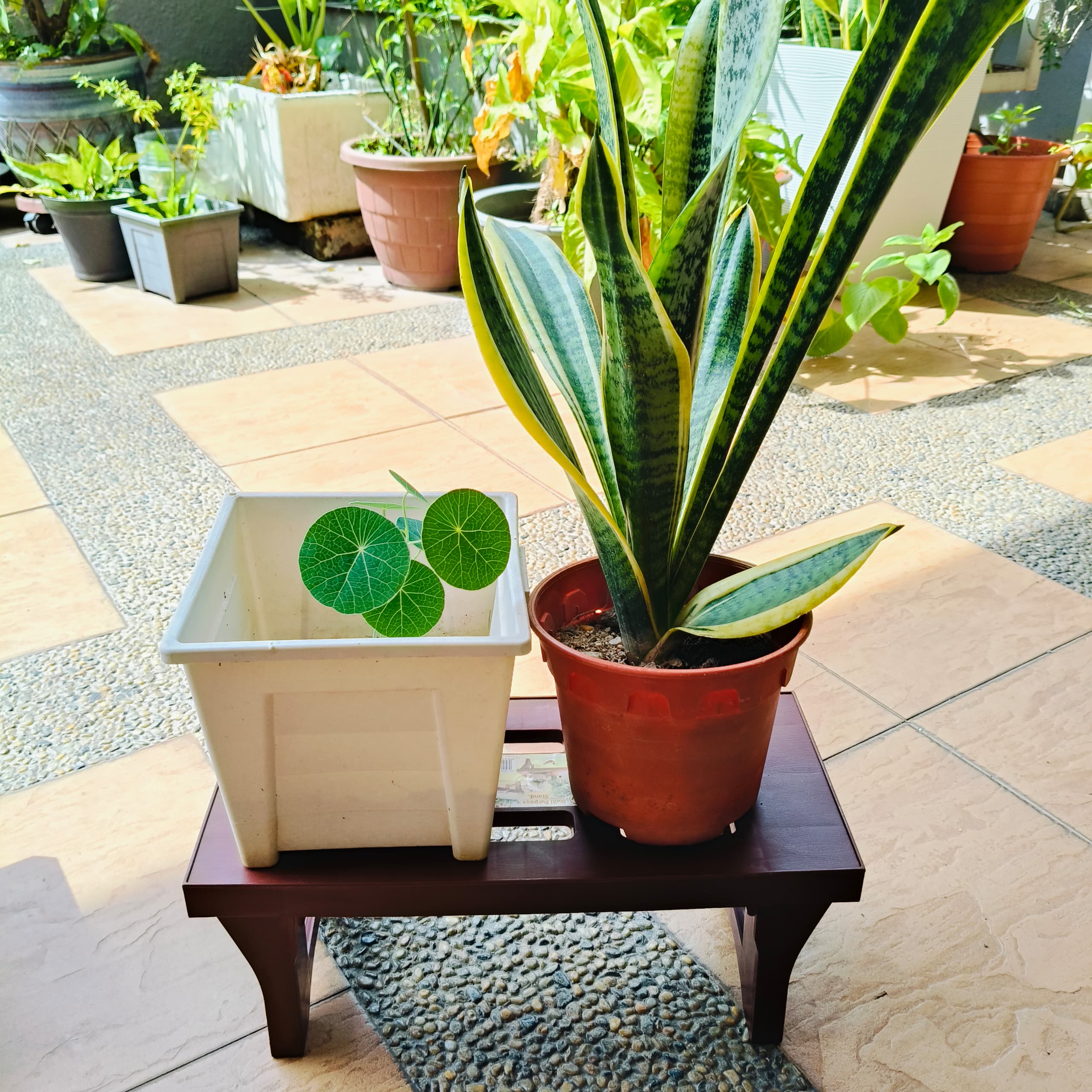 Alas Pasu Bunga Lapik Tapak Flower Pot Stand Kaki Pasu Murah Alas Pasu ...