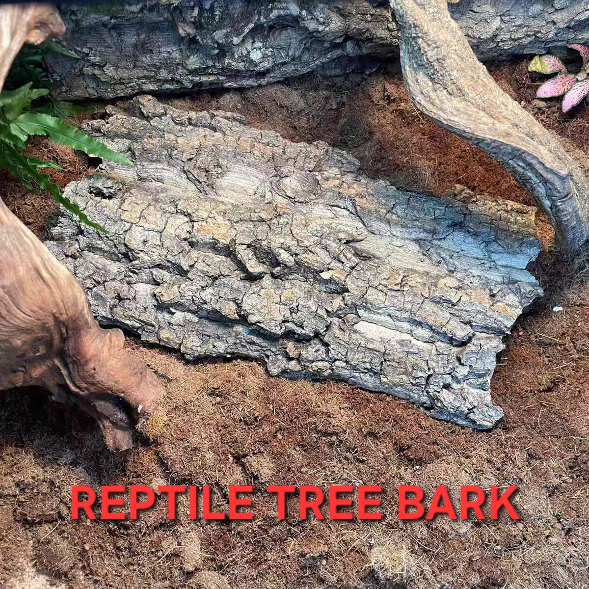 Reptile Bark Bedding Natural Cork Habitat Tree Bark Spider Wood ...