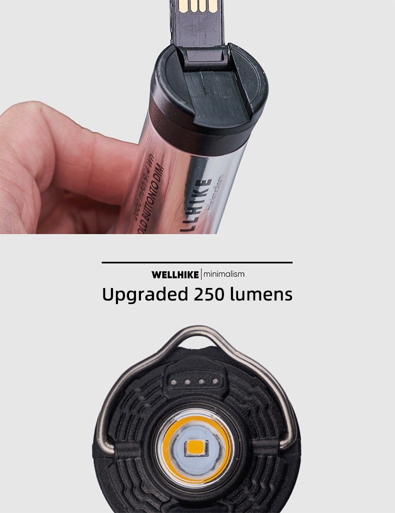 WELLHIKE Camping Light Camping Flashlight Portable Hiking Light Decoration Ambient Light with ...