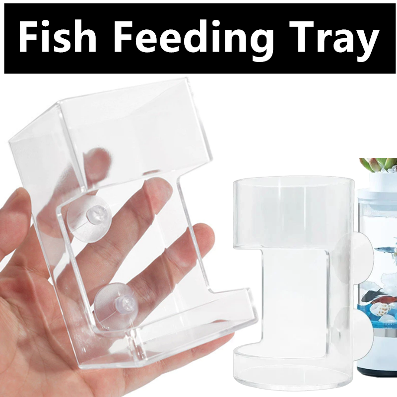 Fish Feeder Polystyrene Aquarium Feeding Ring Floating Food Tray Feeder ...