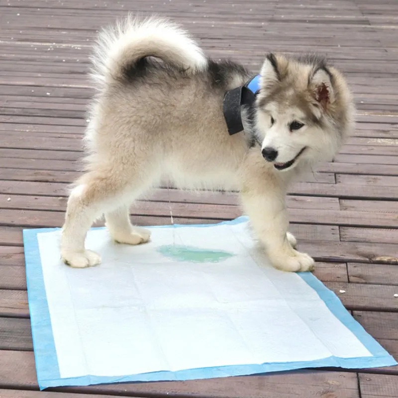 Pet Diaper Pad Dog Diaper Pee Pad Puppy Training Mat Thick Urine Pad ...