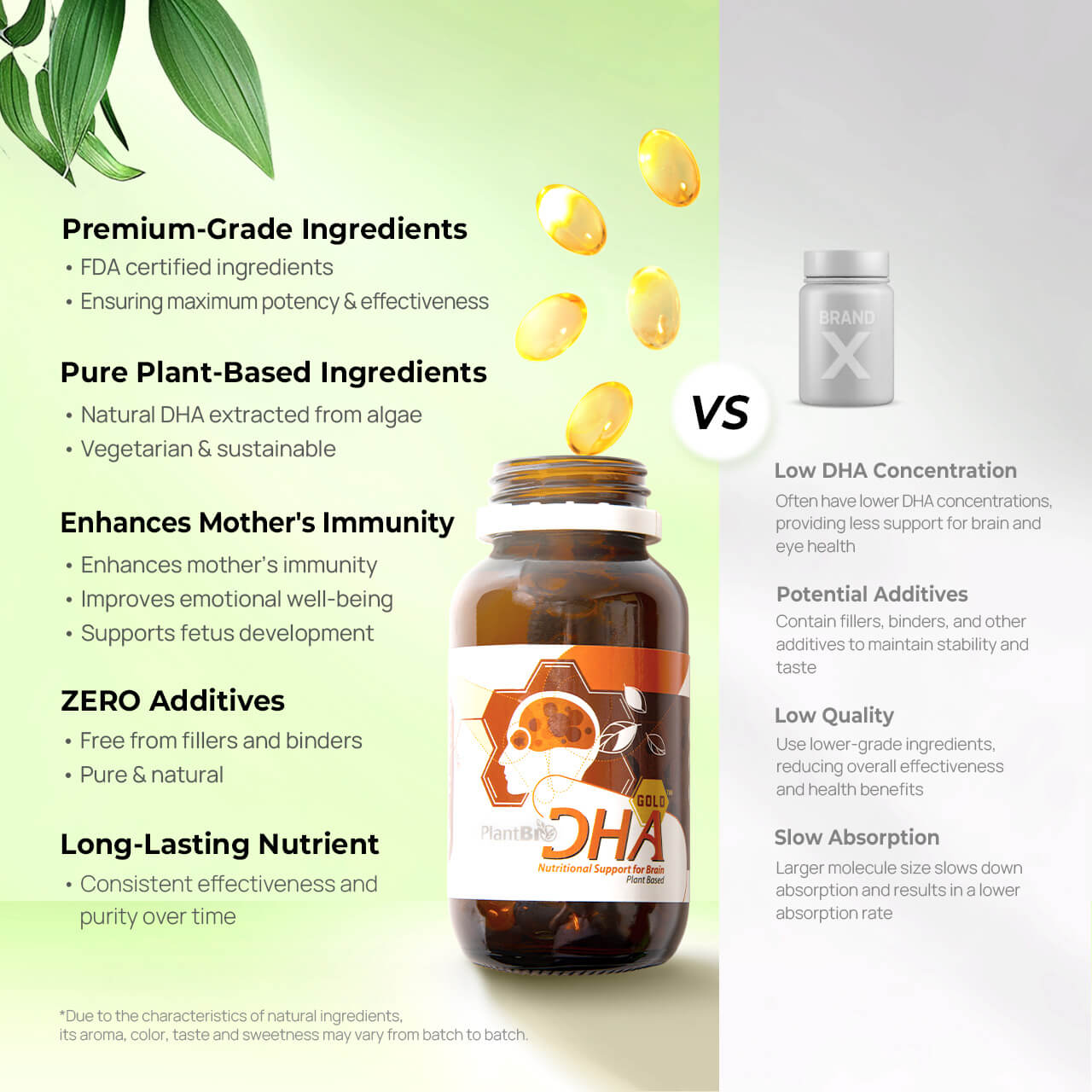 PlantBio DHA Gold - 100% Vegetarian Algae-derived DHA for Brain ...