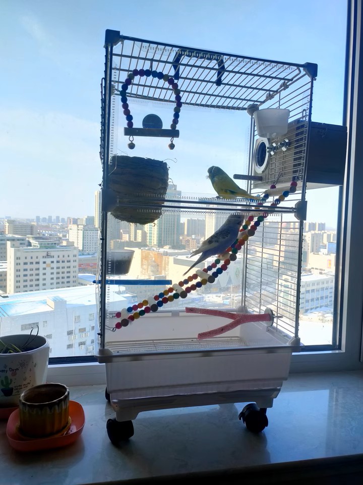 Extra-Large Luxury Bird Cage with Multiple Doors, Rolling Wheels, and ...