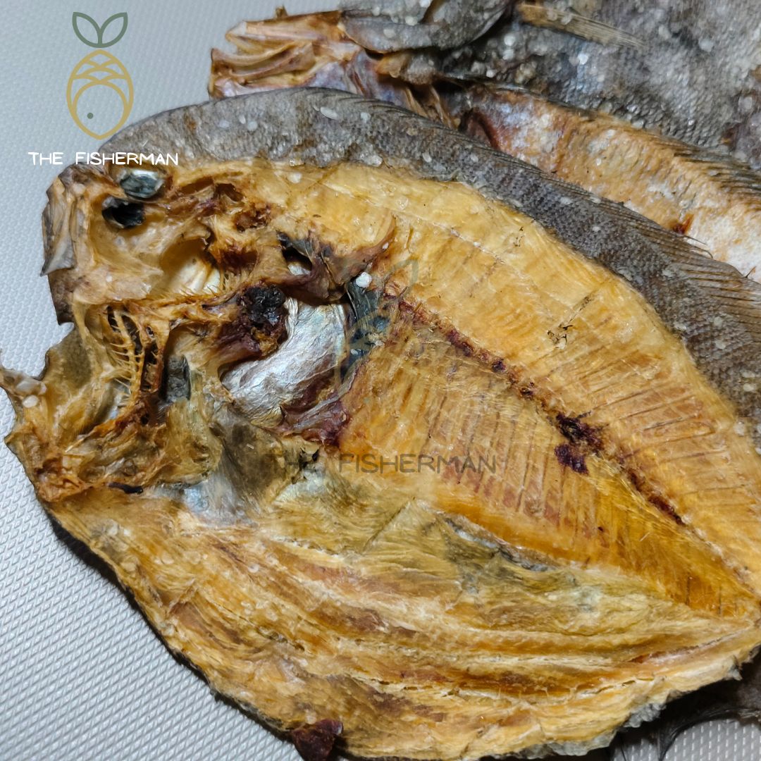 🔥Ikan Kering Halibut 2025 香港左口鱼干 大地鱼 扁鱼 比目鱼 Hong Kong Dried Flounder ...