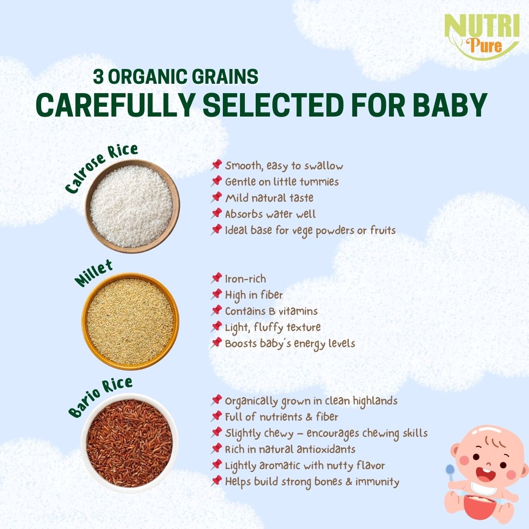 Nutri Pure Organic Baby Rice | Beras Bayi Organik (Calrose / Millet ...