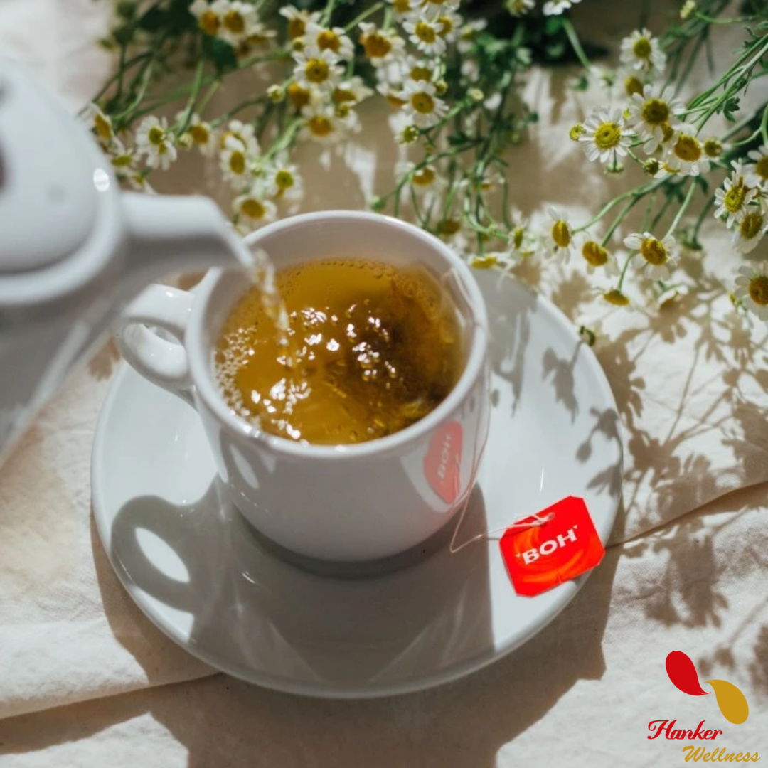 BOH CAMOMILE TEA LIPTON Chamomile Infusion TEH KAMUMIL 洋甘菊茶 100'S ...